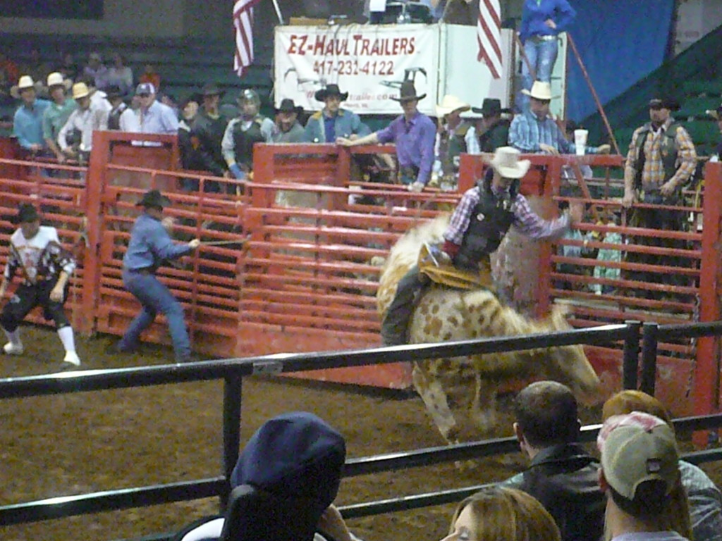 The Rodeo (student writing) | Jessica Whitmore